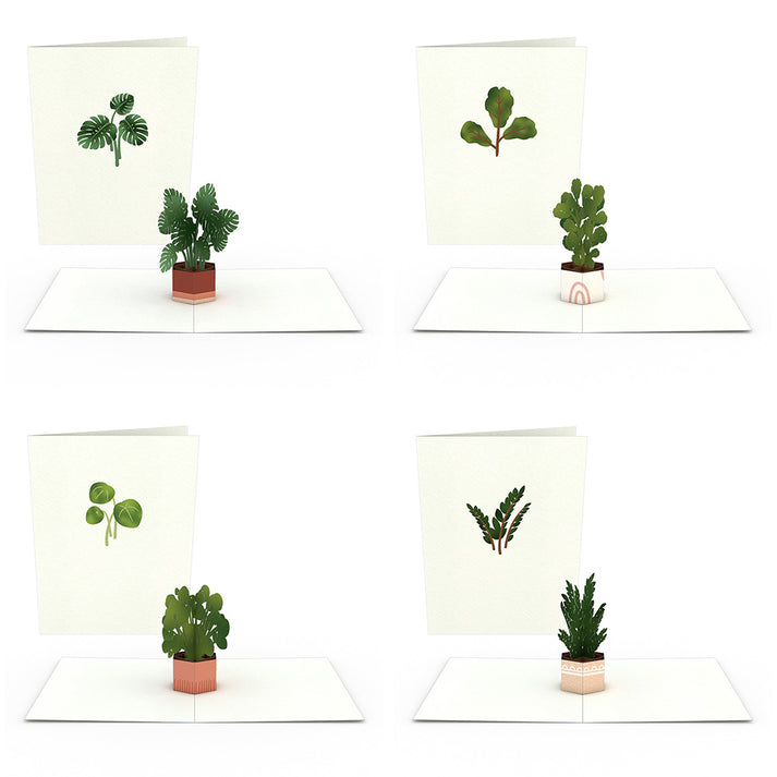 Plants Notecards (Assorted 4-Pack) – Lovepop