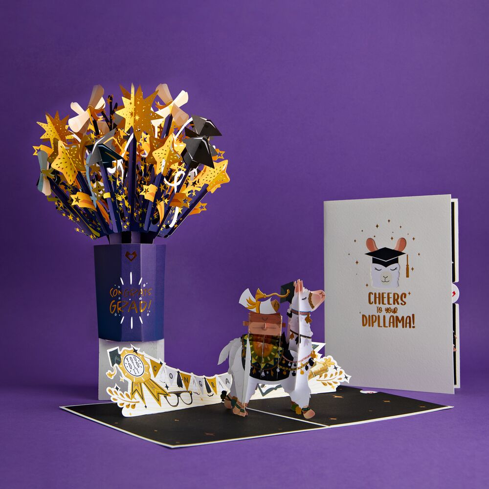 Graduation Bundle – Lovepop