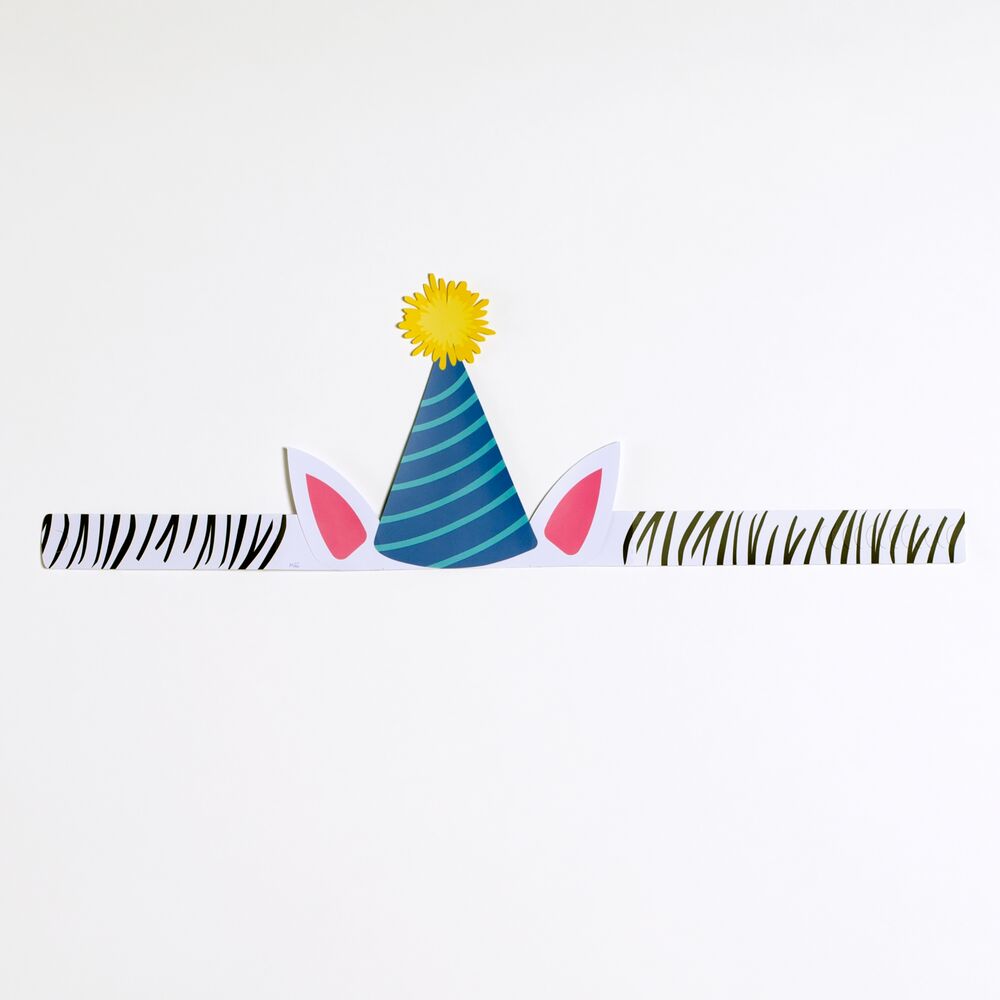 Party Animals Birthday Party Kit – Lovepop